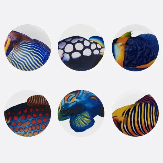 Dior Multicolor Decorative Plates Set of 6 | The King Decor